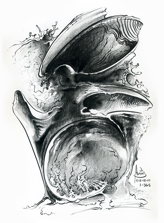 Experimental Art Projects - Joe Adams